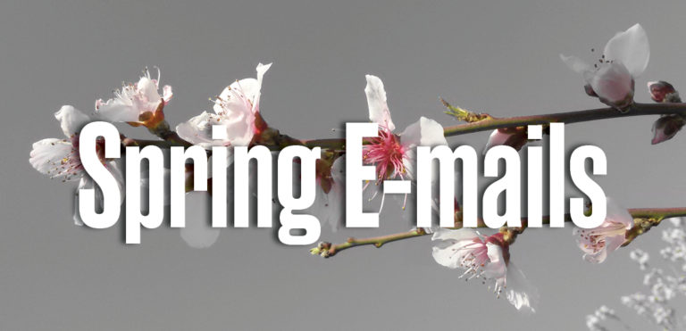 5 Springtime Email Marketing Ideas for Small Businesses | ReminderMedia