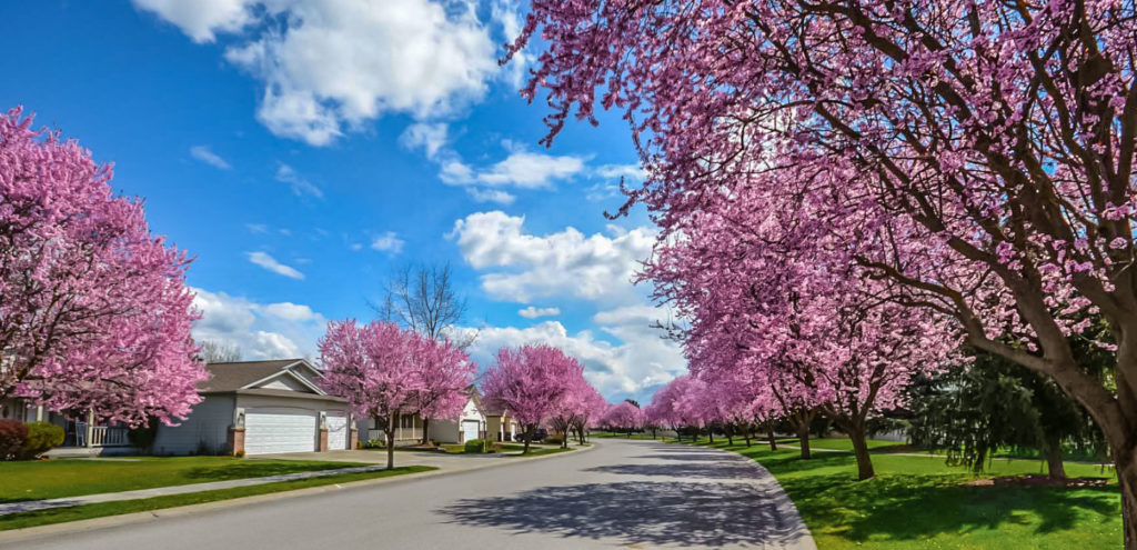 2025 Countdown to the Spring Real Estate Market | ReminderMedia