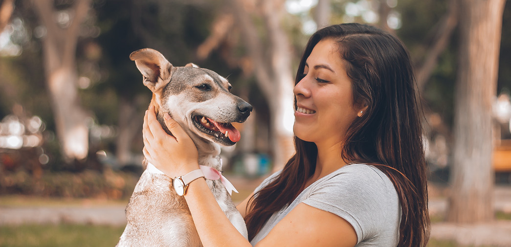 Top 5 Ways Agents Can Create an Exceptional Customer Experience ...