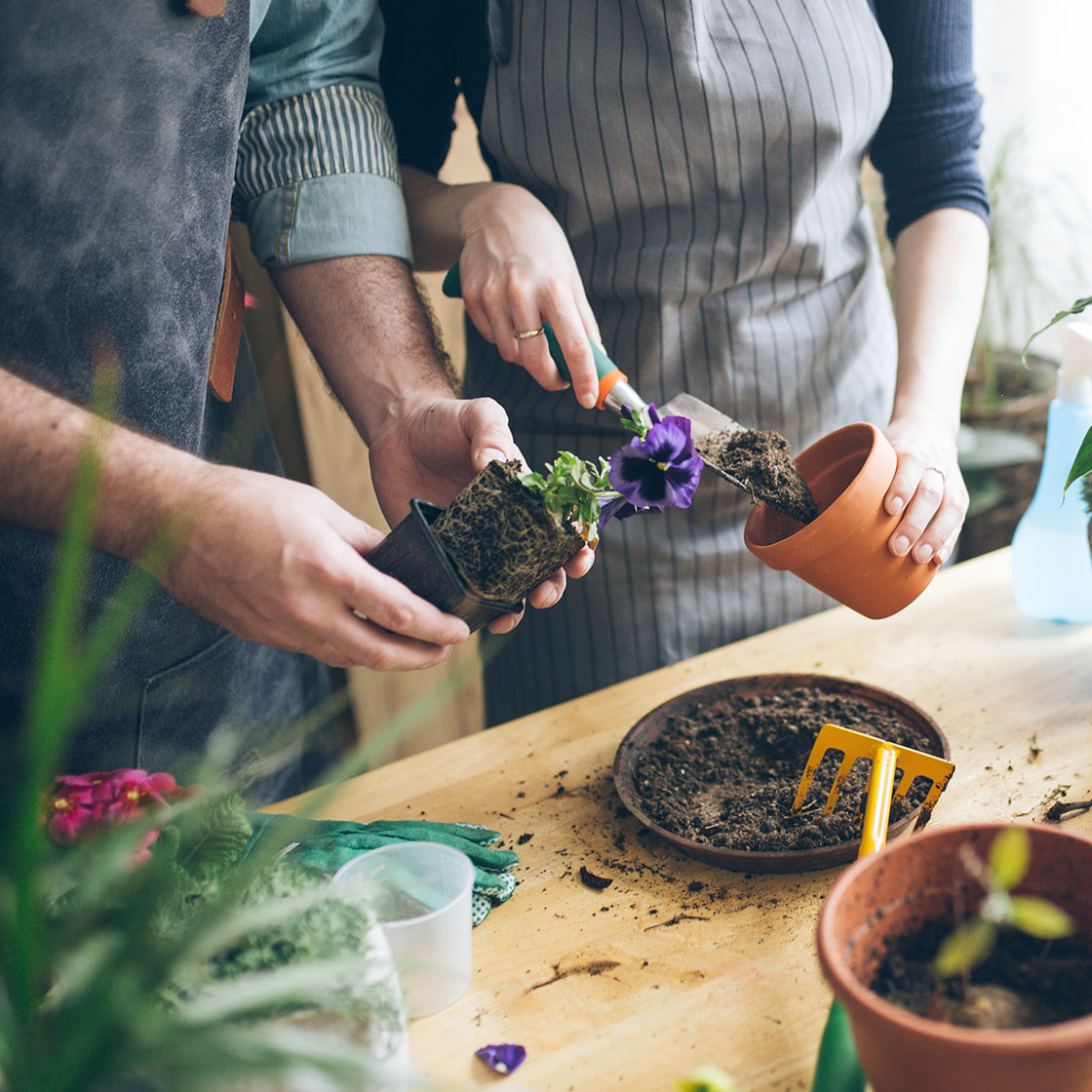 Digital Edition Social Copy March | ReminderMedia